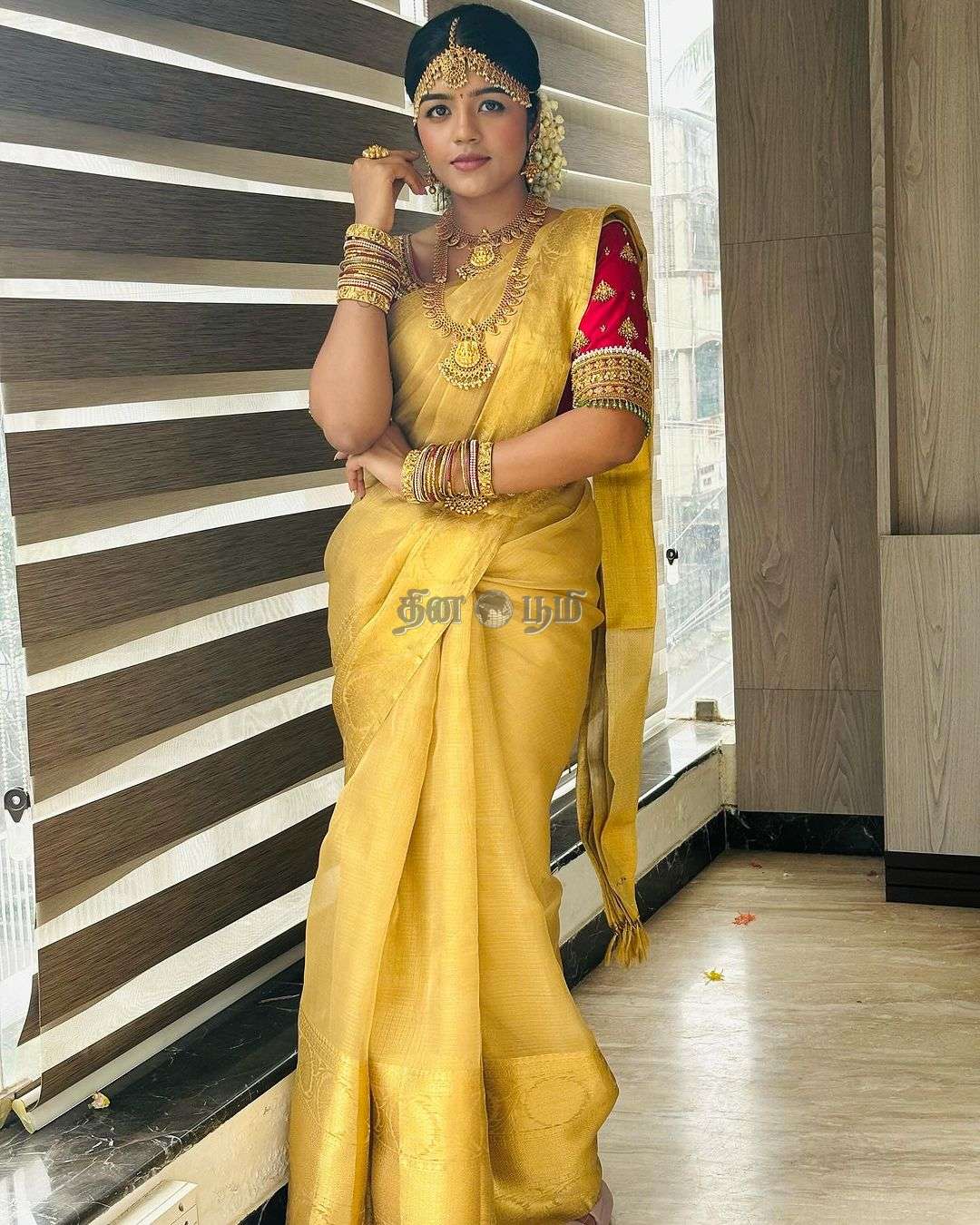 Actress Suveta Shrimpton's Traditional Looks In Silk Saree | தின பூமி