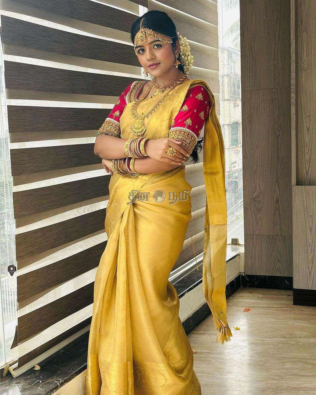 Actress Suveta Shrimpton's Traditional Looks In Silk Saree | தின பூமி